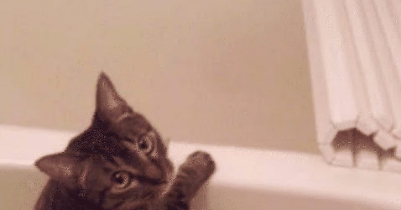 うれしい｜Imatomi Aiko