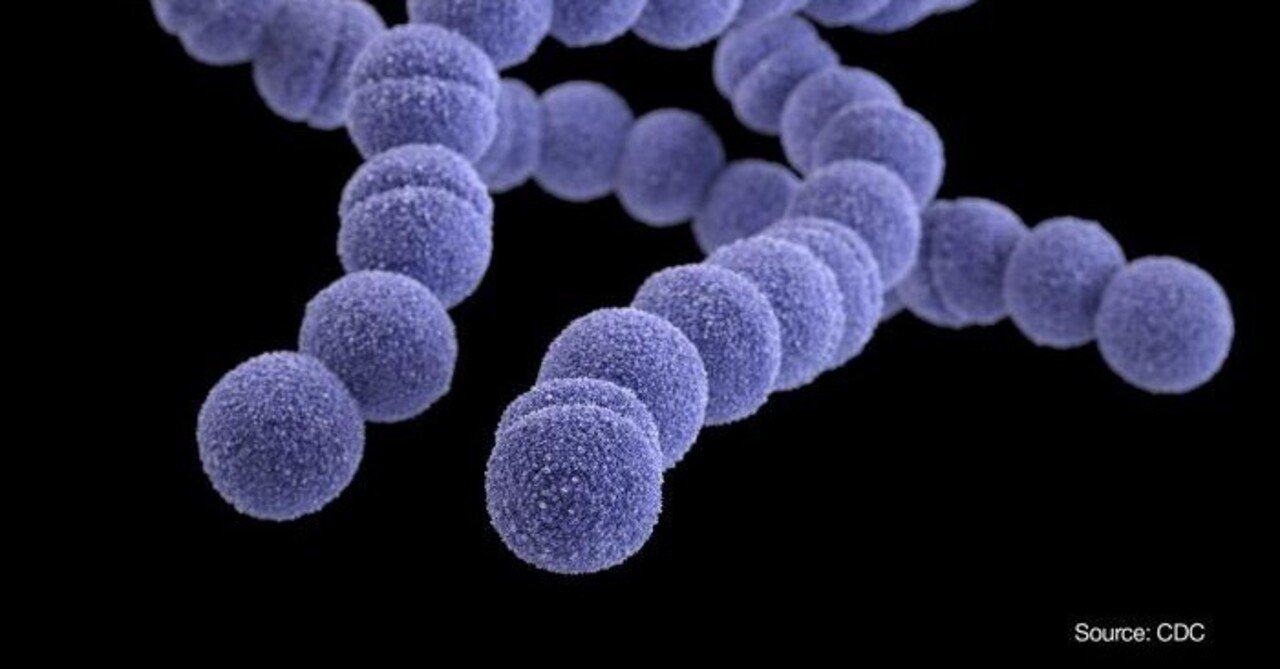 STSS、868例から見える患者の特徴｜三和護（mamoru miwa）