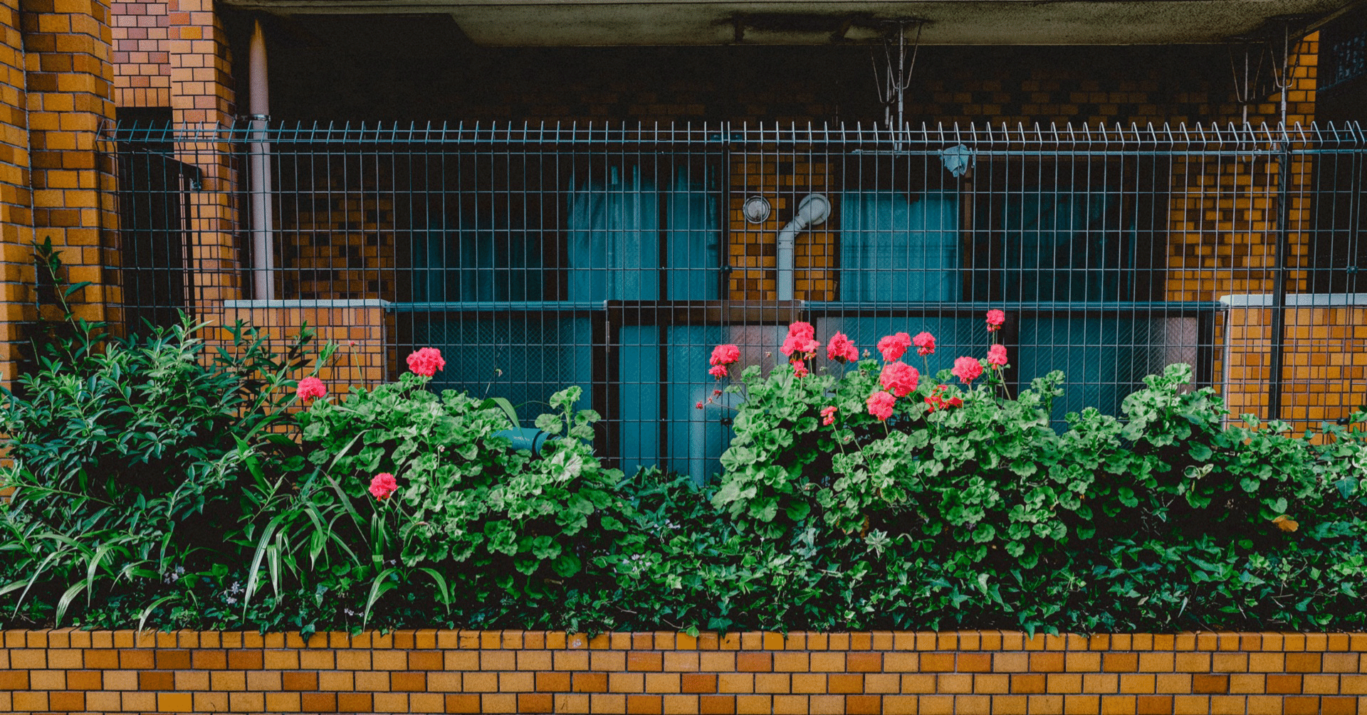 恭輔｜Kyosuke Sato｜note