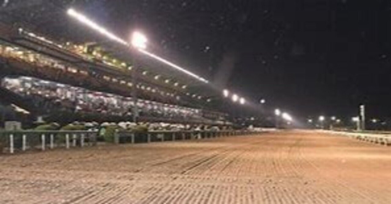 船橋競馬【🔥👊🏇激熱勝負🏇👊🔥】528（火）【6r】手賀沼特別（発走時刻1720）｜さやだま