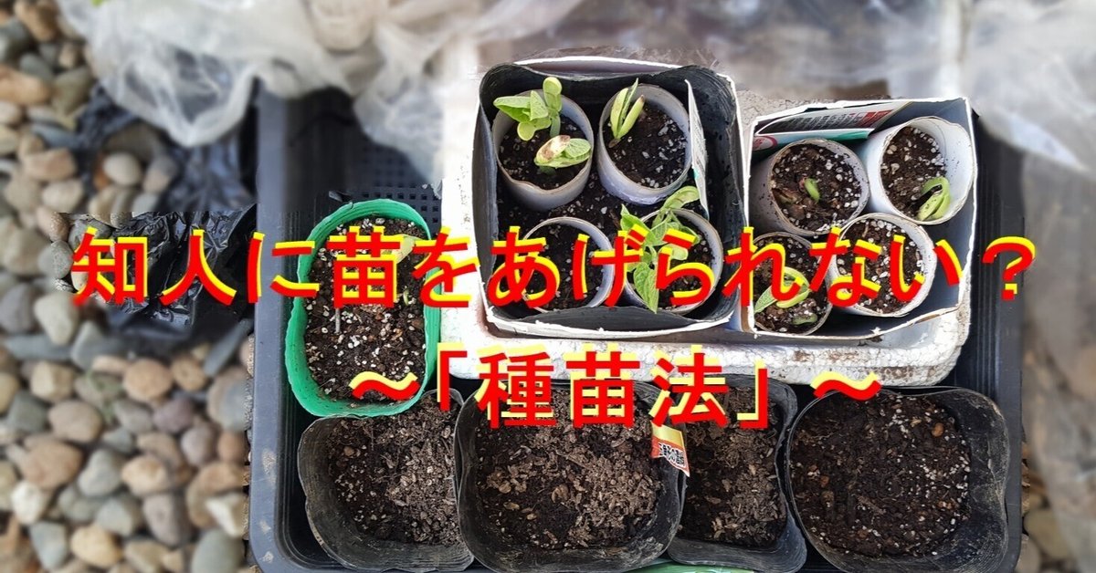知人に苗をあげられない？ ～「種苗法」｜cyo99
