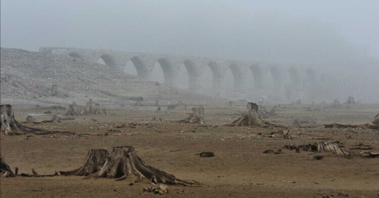 2014.5.28｜岩崎 量示｜Ryoji Iwasaki