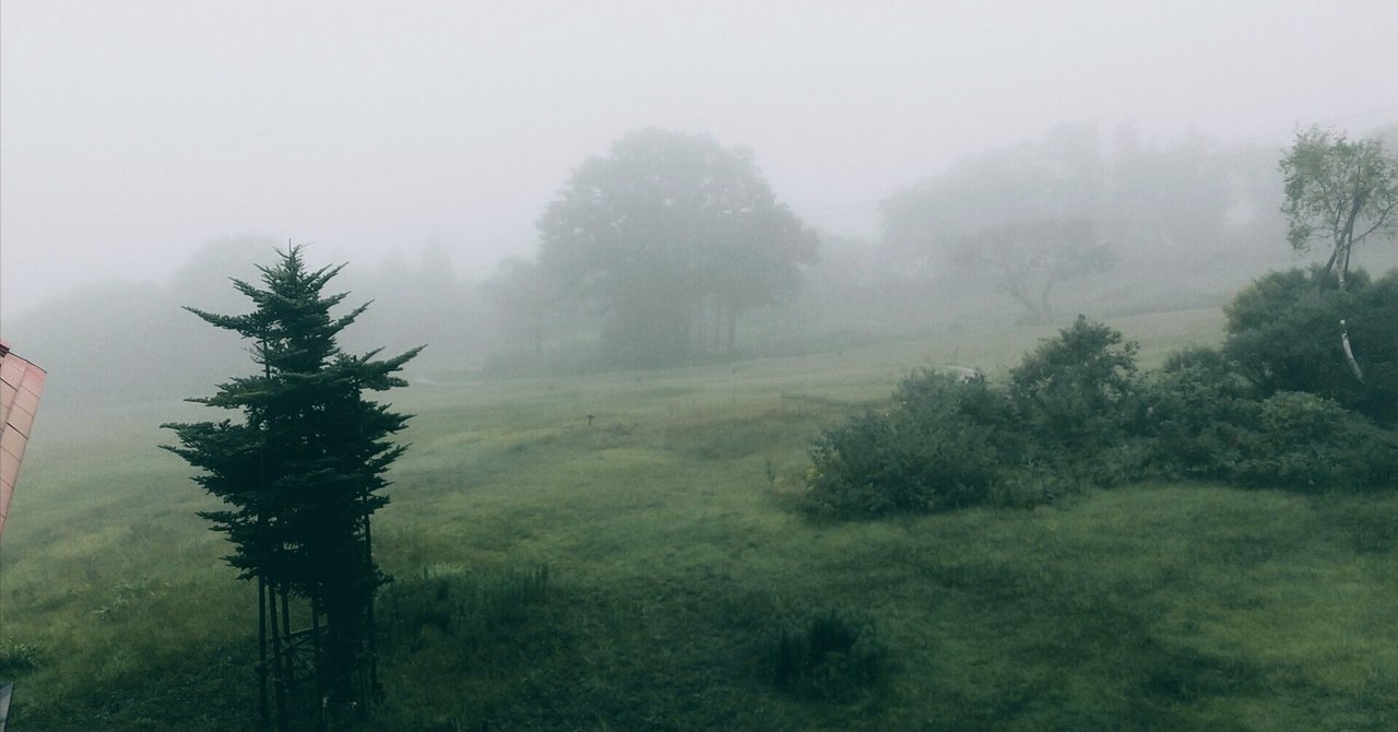 詩ことばの森（171）「霧の高原で」｜UNWIND&KOMOREBI