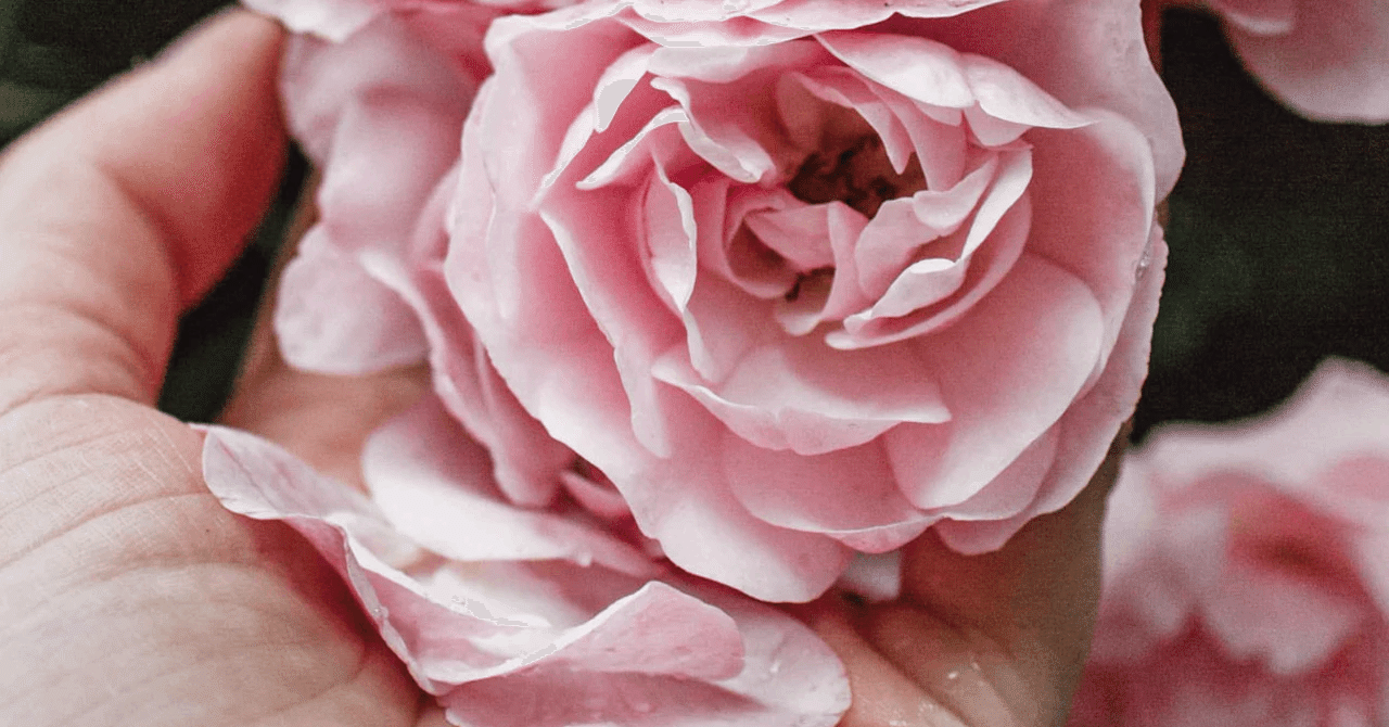 愛の人は「温かい」｜Nakamura Mami