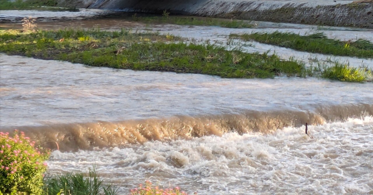 第3巻295番~作者 角麻呂｜ichiro70