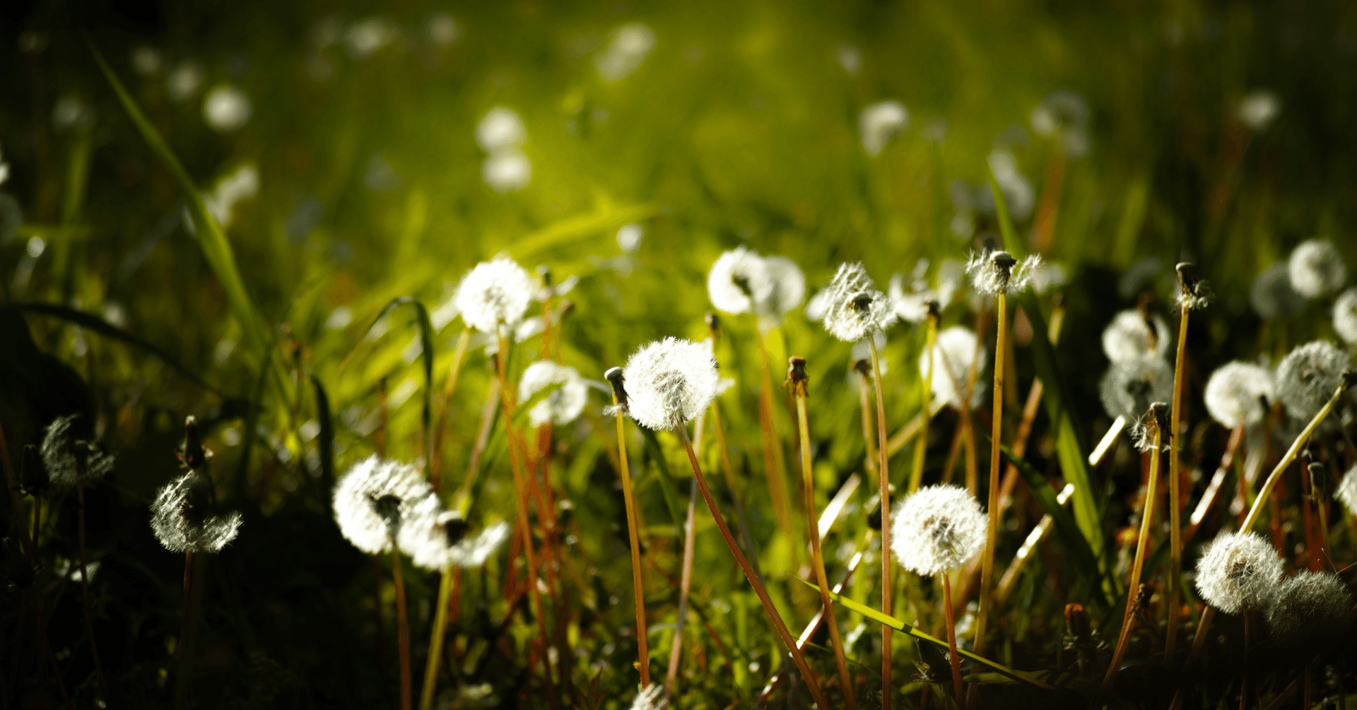 Ryosuke Matsusima｜note