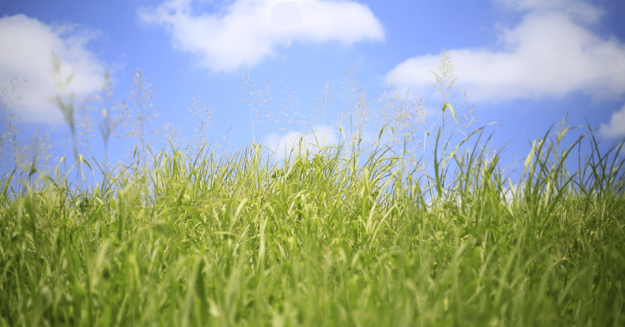 産後うつから10年｜Sumi