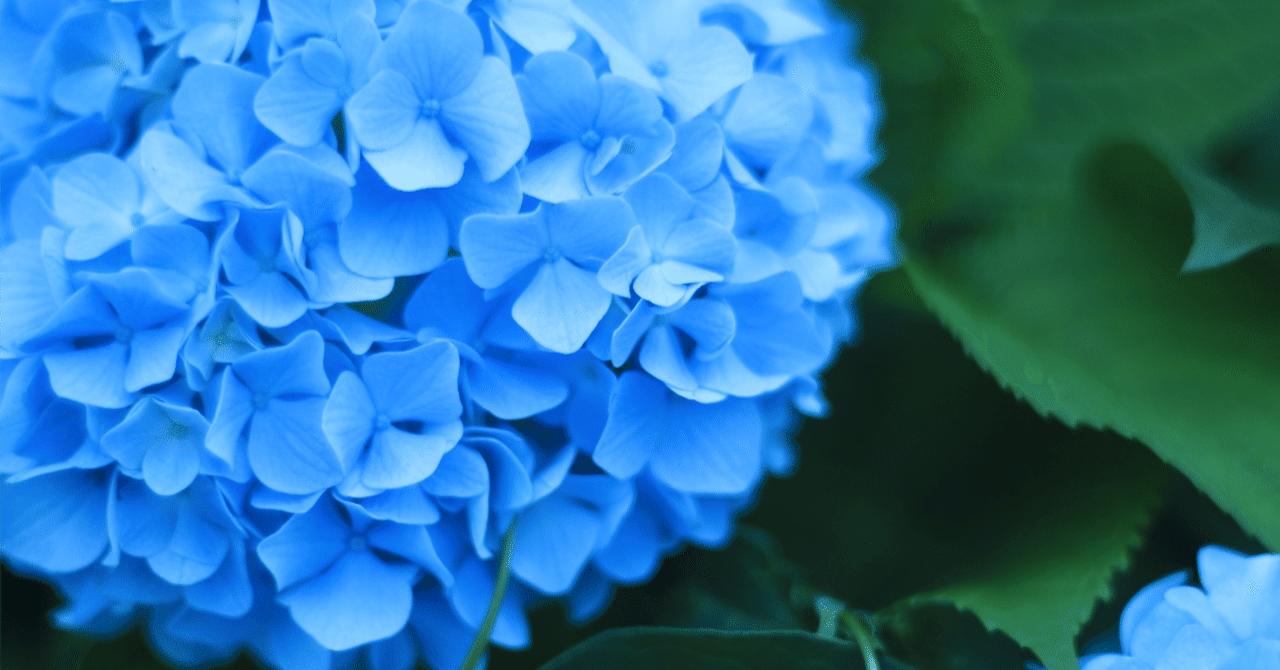 koichi_kodama｜note