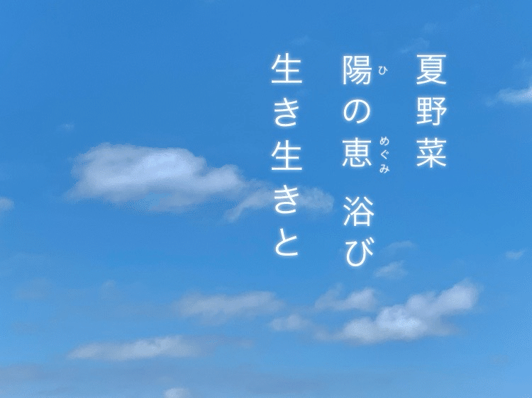 畑のエネルギー｜micay_lala