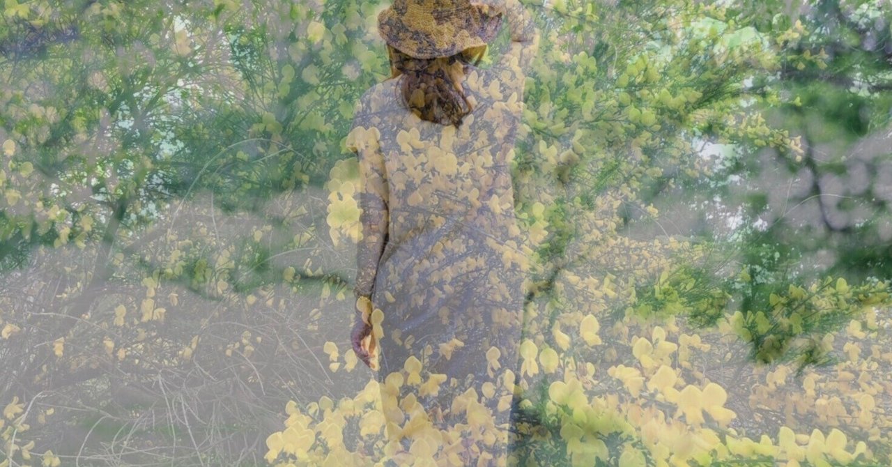 Yoshie / Petit Lapin｜note