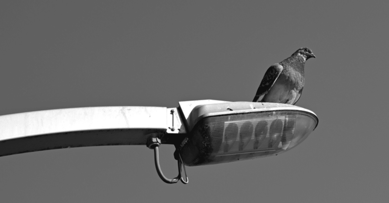 天衣りんね(amai rinne)｜note