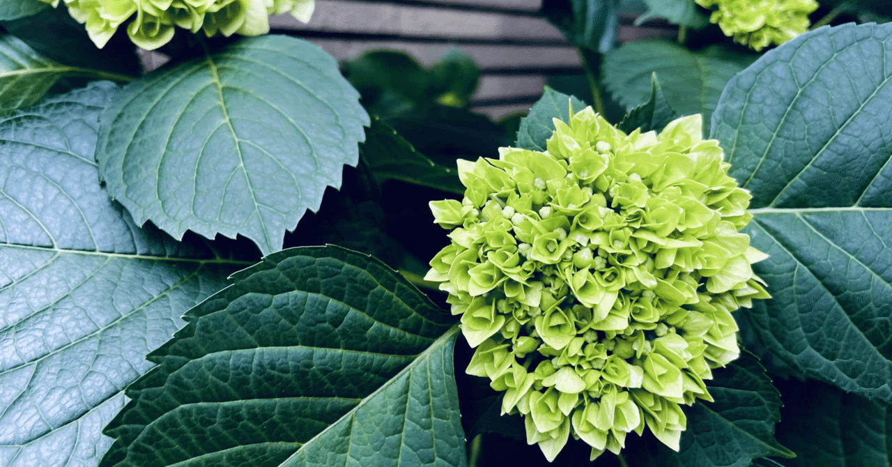 2050年世界人口大減少について考えてみる｜yutty