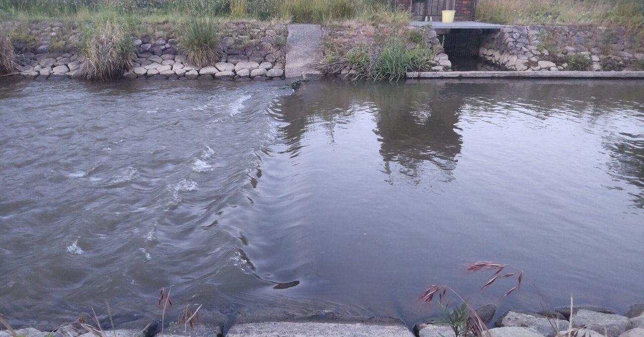 ひとりごと 2024/5/29｜うさかめ文庫