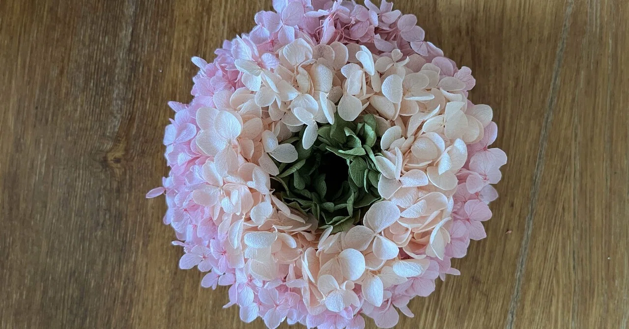 自己紹介♡｜sacchin