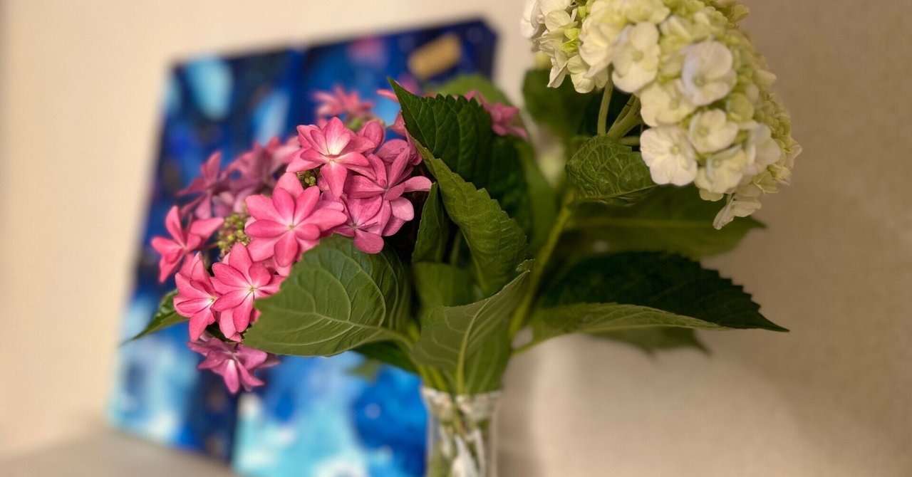 藤理沙子/Risako Fuji｜note