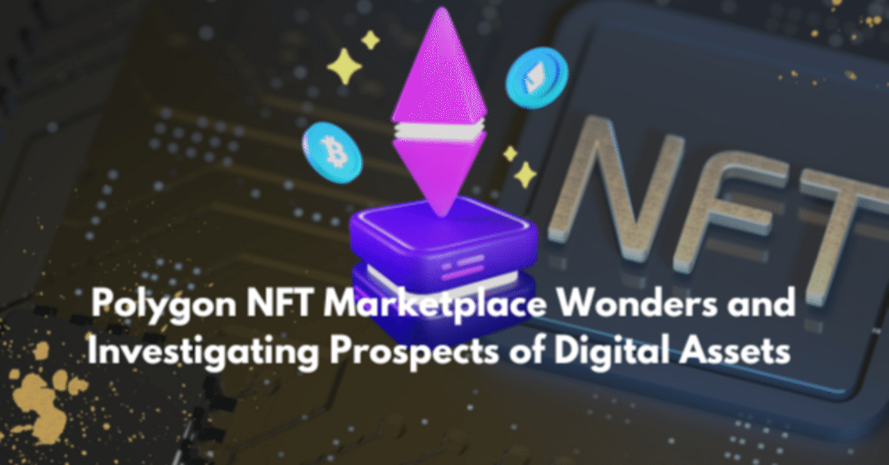 Polygon NFT Marketplace Wonders and Investigating Prospects of Digital ...