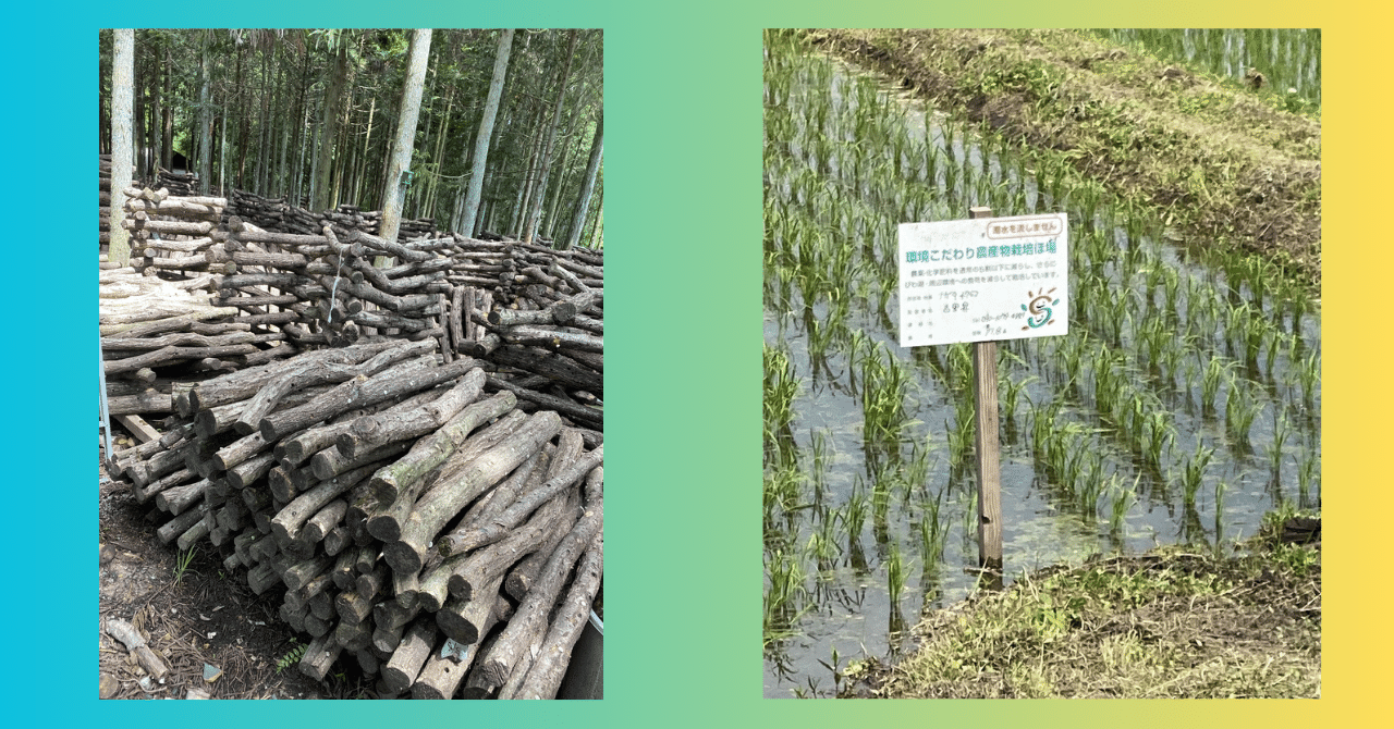 日本の農家生産者を応援するために今できる事｜YOSHIMI TSUJII