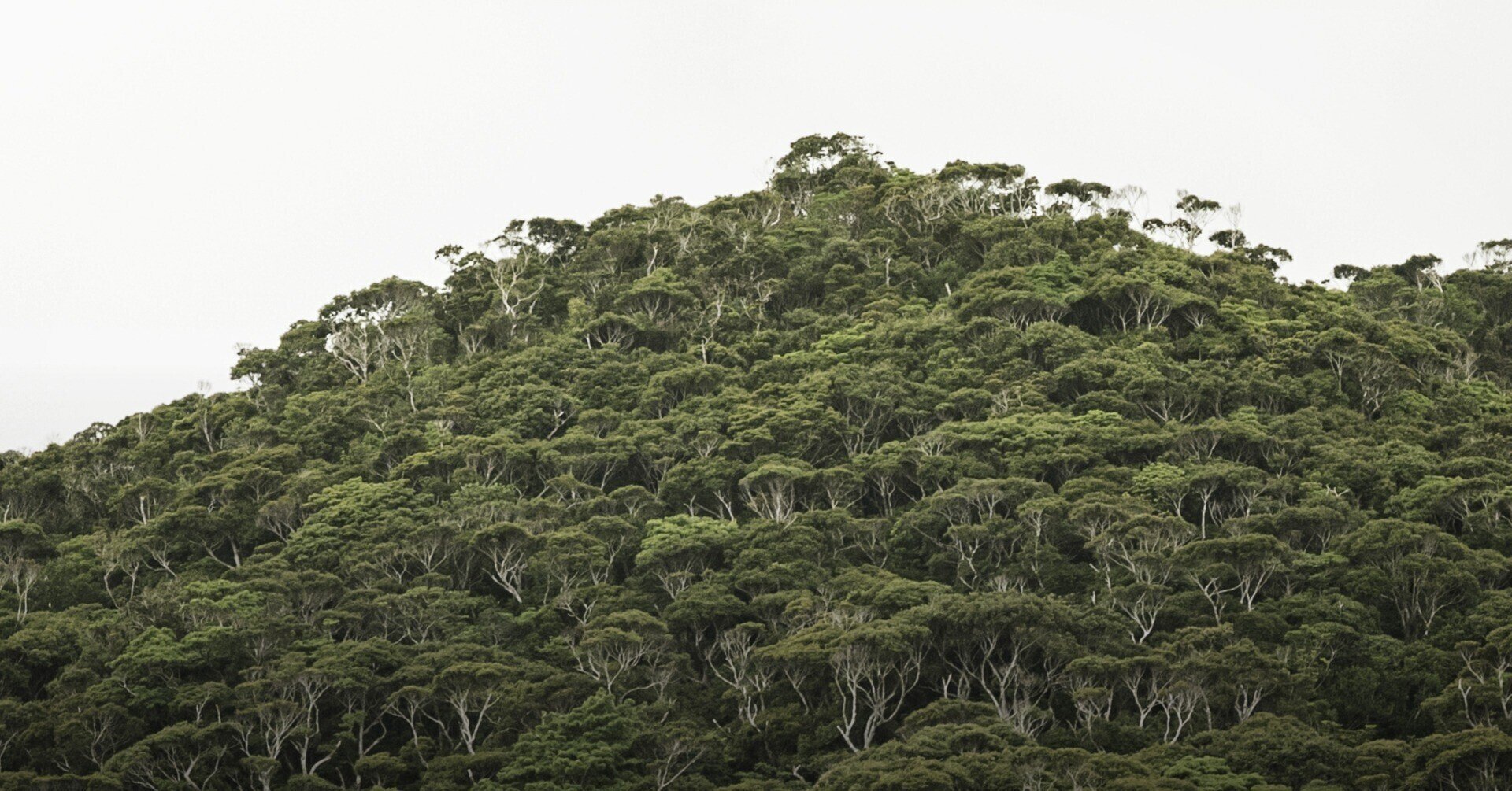 hiro @sound_earth｜note