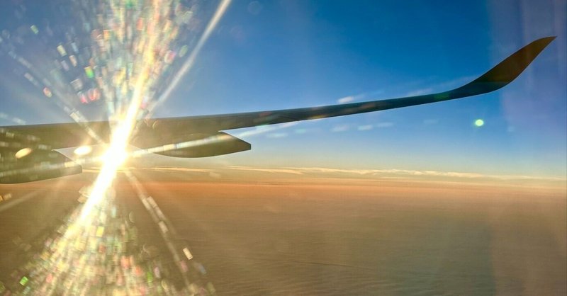 エジプトと鳳凰と⑤ 〜鳳凰との邂逅。日本への空での出逢い〜｜Chiaki Kamuki