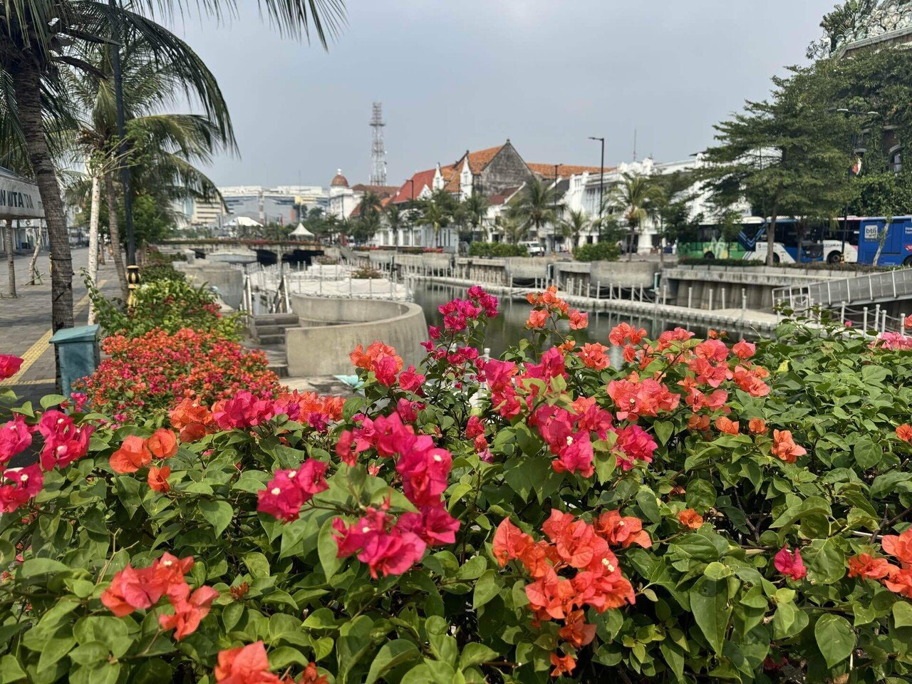 たもん(tamon)｜note