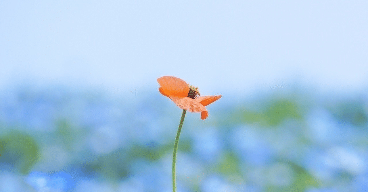 cotto mou/編み物と私と日々の徒然｜note