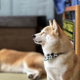 right_shotaro｜note