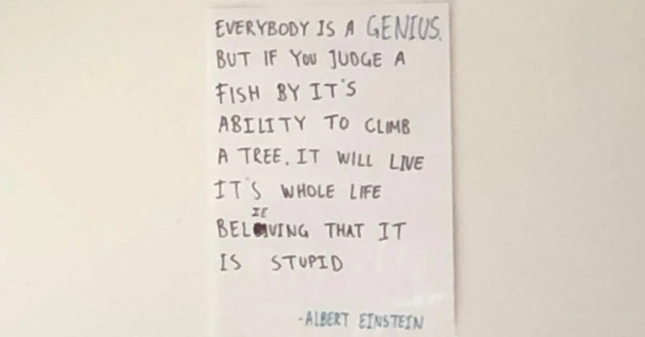 IF YOU JUDGE A FISH BY IT'S ABILITY TO CLIMB A TREE｜ささなお