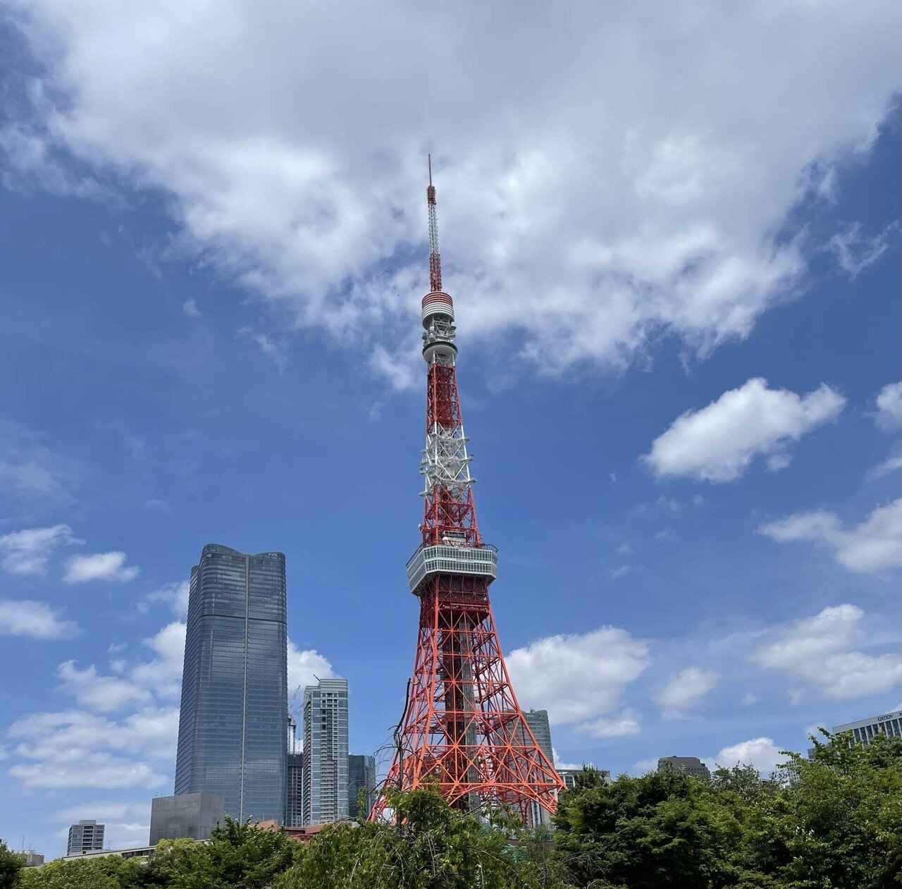 何をしていても、左胸が痛い。 ひびの入った肋骨が。 そして、胸ベルトが暑い。しっかりと汗を吸い込んでいる。汗っかきなので、洗濯をしなくてはダメそう。 若者と違って、治るには少し時間がかかる感じ ...