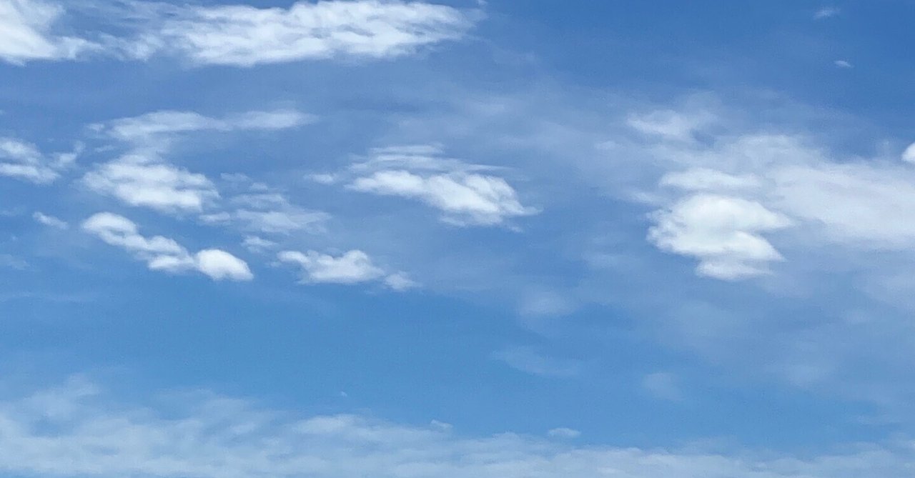 睡眠障害から抜けて｜Lippia-atelier(花屋)midori mori