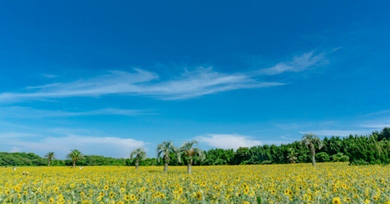 起業するならBtoB,BtoC どちらがいいのか｜HIROKI HAYASHI