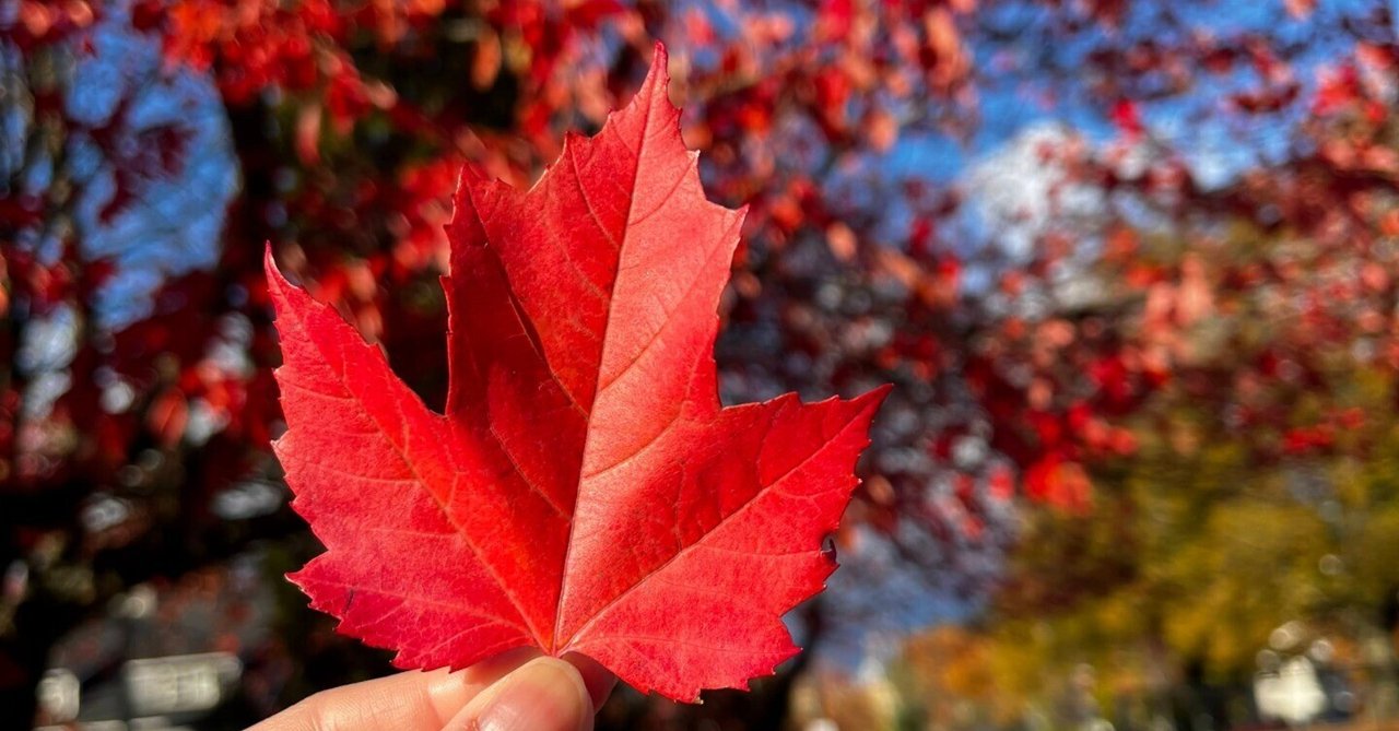 そんなに上手くいかないってわかってたけど。｜Ikumi