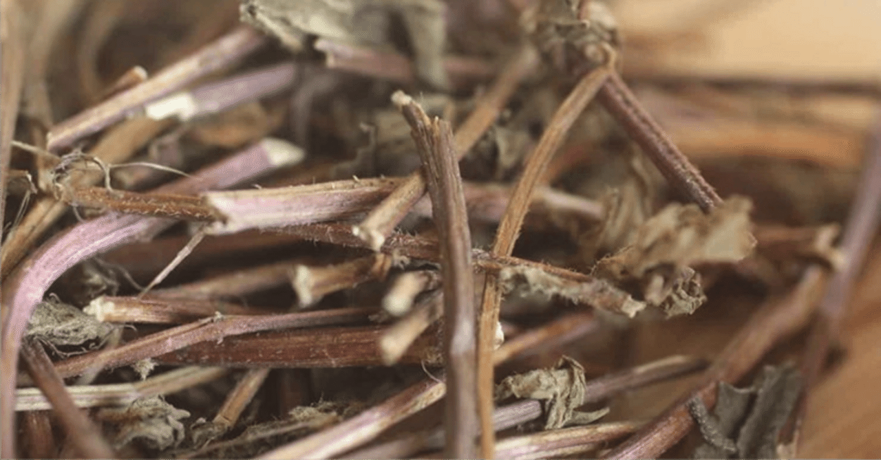8月に紹介するのは、夏バテに効く先人の知恵、仙草茶。｜Lin Pinchun｜台湾出身の台湾茶研究家