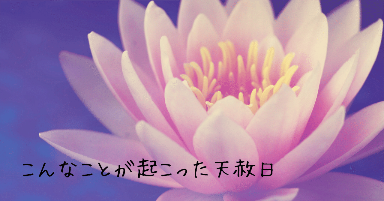 Iro Eriko【少しずつ小さく起こすキセキ】｜note