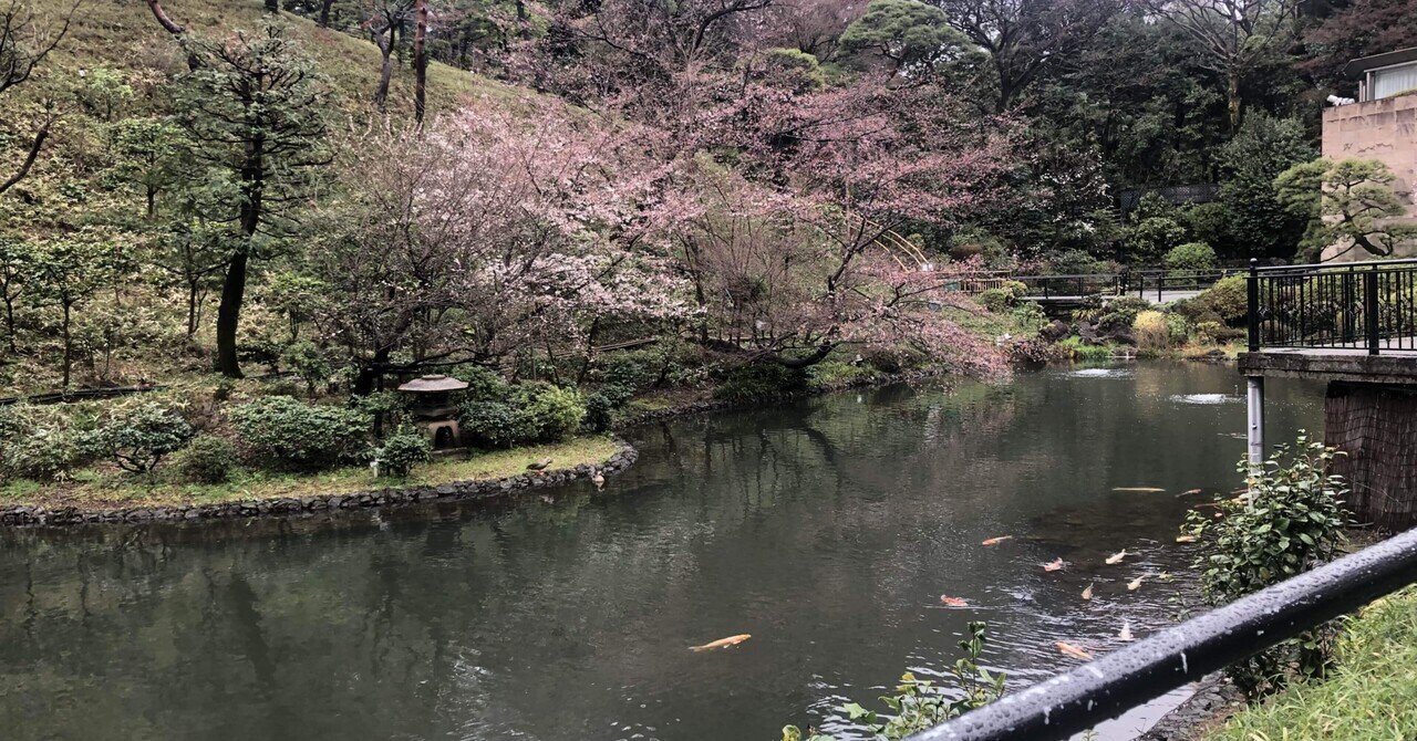 Day18 芋でキマった日｜neomiz