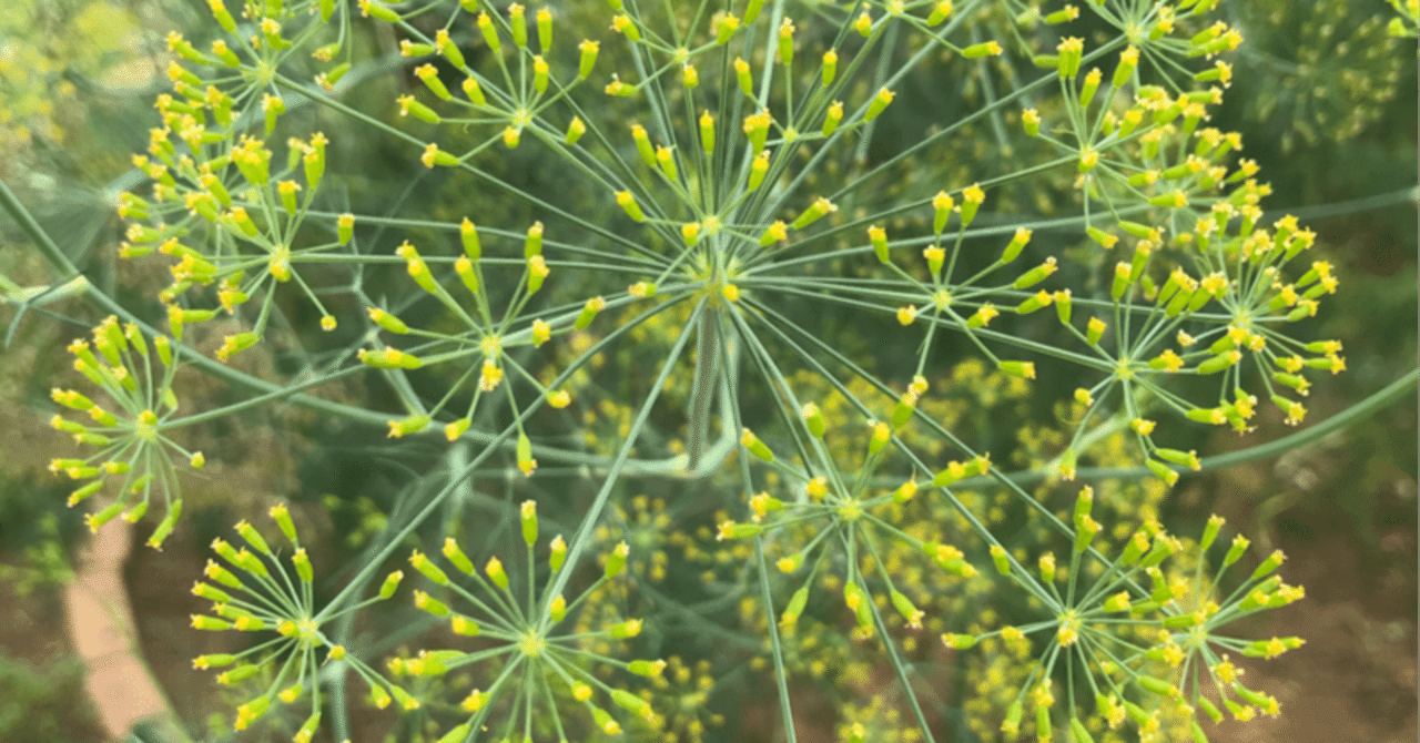 【ベスト5】2024年5月 最もアクセスの多かった人気記事｜Chie Ishikawa∣自分の想いを言葉にする魔術師