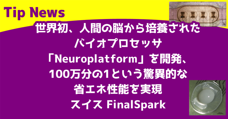 世界初、人間の脳から培養されたバイオプロセッサ「Neuroplatform」を開発、100万分の1という驚異的な省エネ性能を実現 スイス FinalSpark｜Tip News