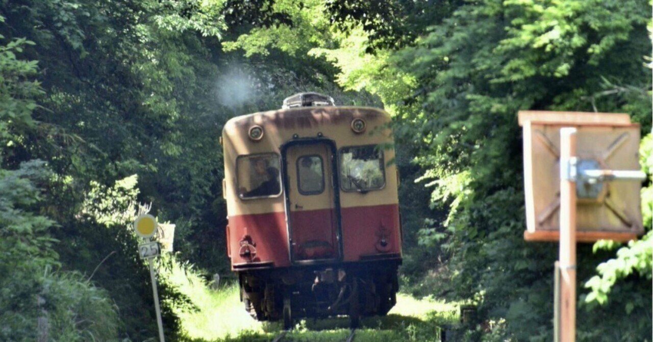 すすめ｜Master Kevin