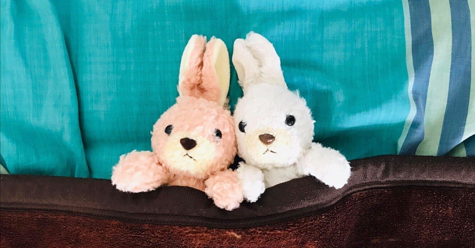 Kentaro Fujisaki｜note