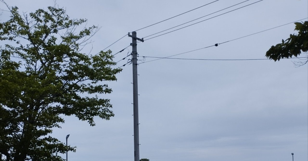 アクセス解析チェック断ちをする⑦SNS6日ぶりに見てしまいました｜聖