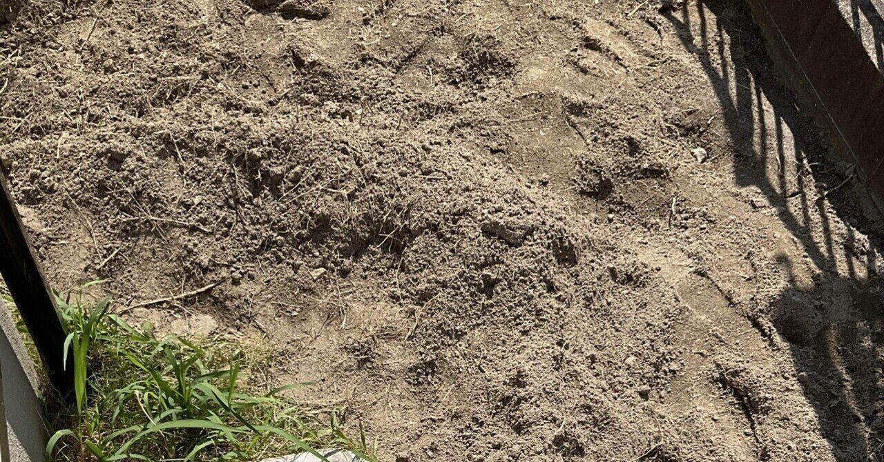 全然進まない😅｜chirudo12