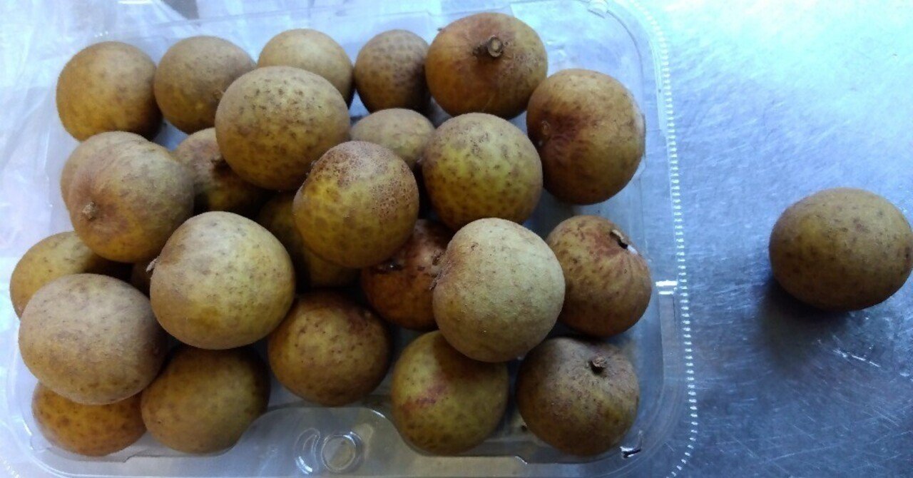 Le longane｜SAITOSHIN1