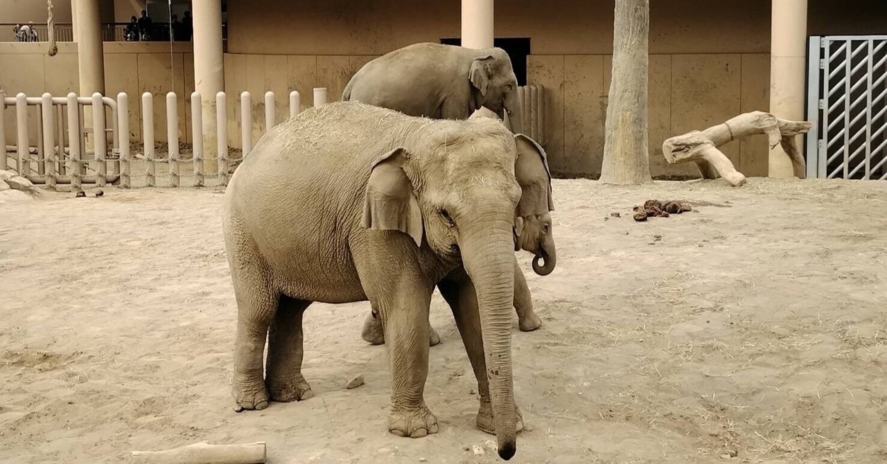 shintaro_hanada｜note