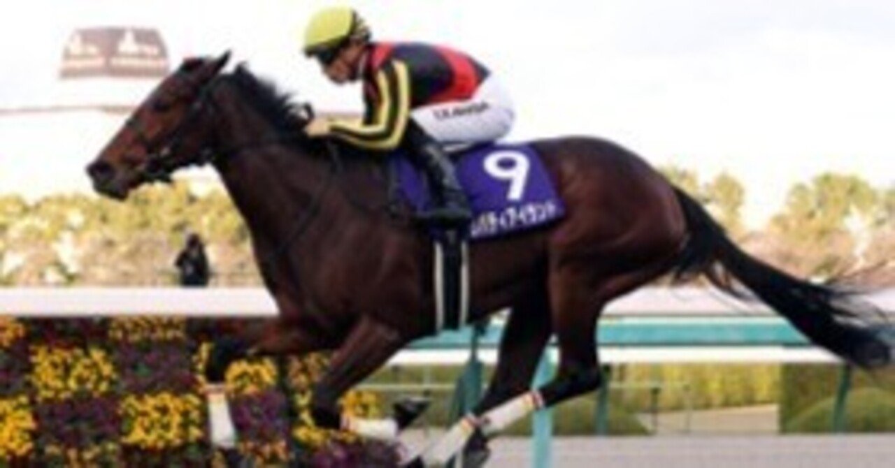 2024㊗️6月度中央競馬万馬券的中結果🎊💰｜👑the Kenking 競馬予想屋👑