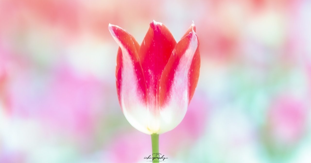 写真のレタッチに必要なスペックは？レタッチするならこのipadがおすすめ！｜ichi_graphy