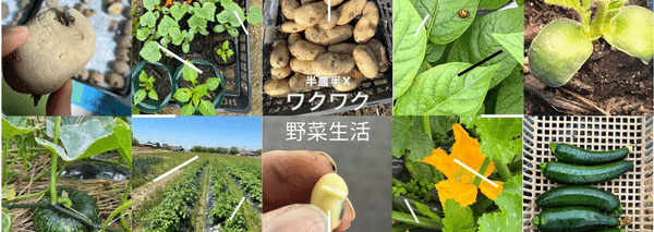 ca-ptain@農ある暮らし｜note