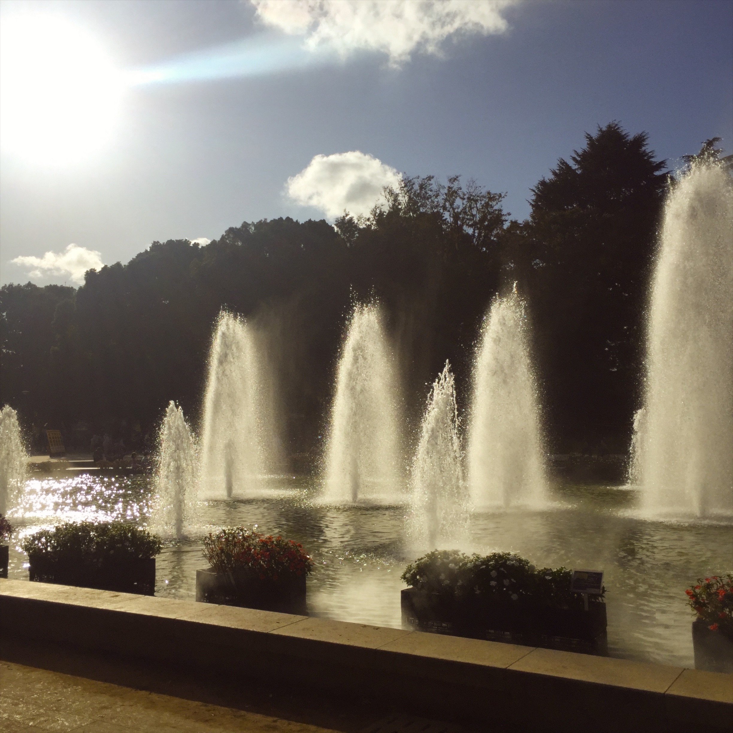 nostalgia II｜ワキマル・ジュンイチ（Junichi Wakimaru）