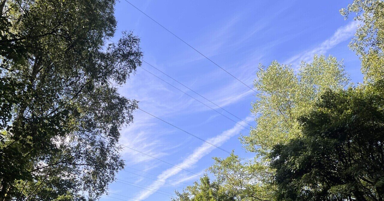 Lovely weather ~For the UK settlement #40~｜Kish