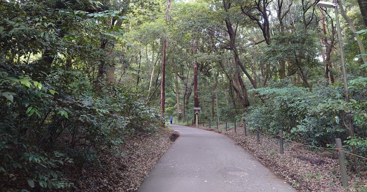 自然に触れてエネルギーチャージすると…｜自然療法🌱薬剤師/ハーブボール調合師のnote｜彩irodori AYA