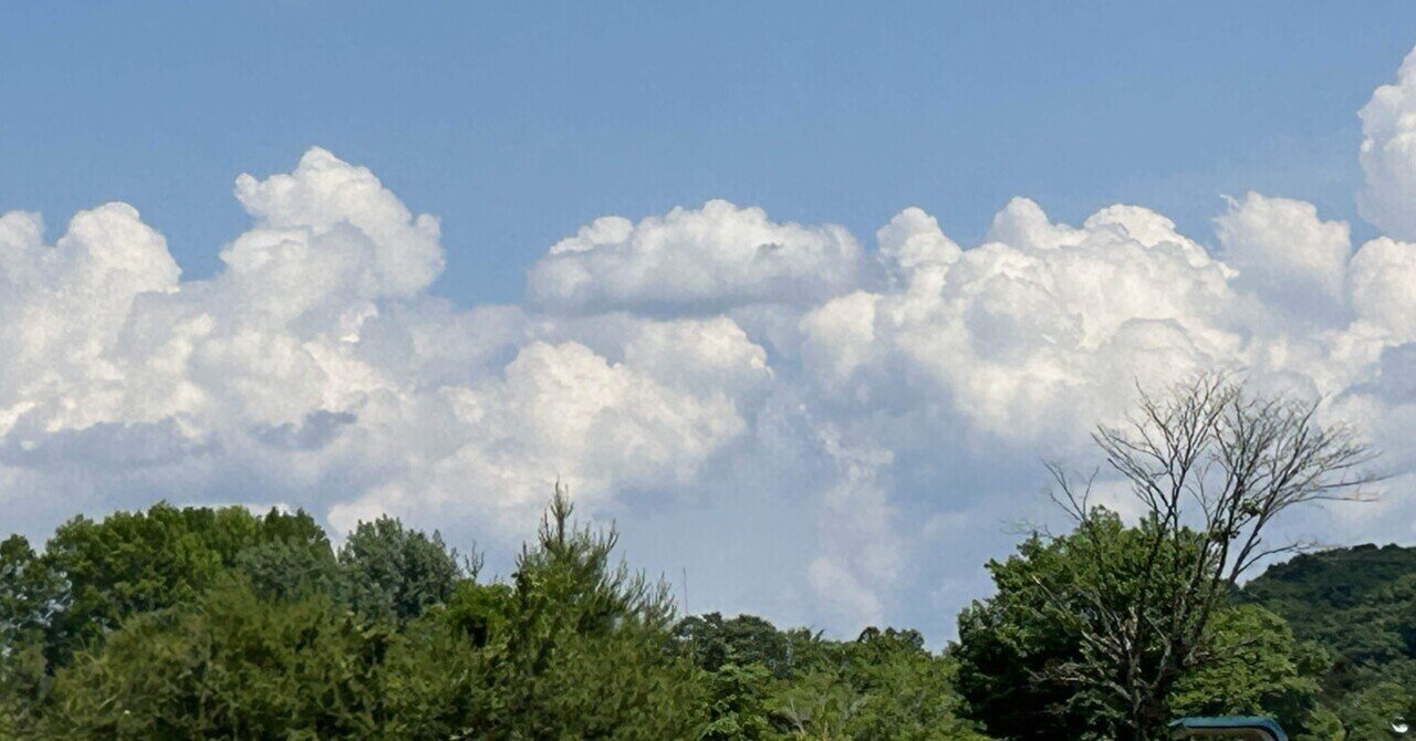 メッセージ🦋🐉 ｜Hakuto Emiko