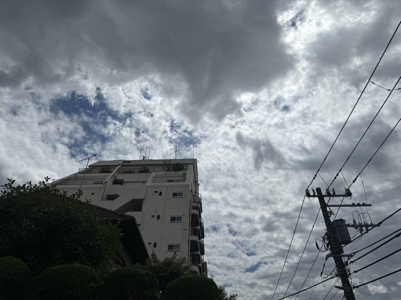 Ryosuke Matsusima｜note